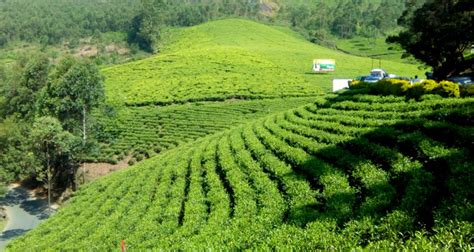 Devikulam Munnar Timings History Entry Fee Images And Information Munnar Tourism 2022