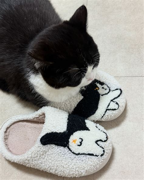 율무콩 스텐팟 가열식 가습기 Open 1218 1224 구매는 프로필 상단 고가의 다l 가습기가 있는 저는 이번에 가열식 가습기 스텐팟으로 정착했어요 제가