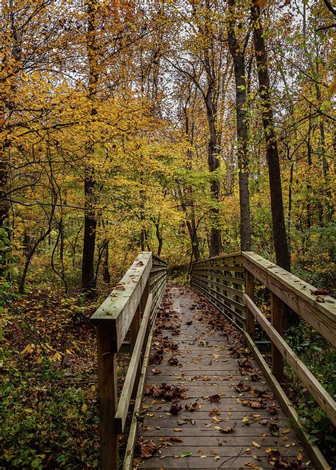 Piney Run Footbridge Photograph By David Beard Fine Art America