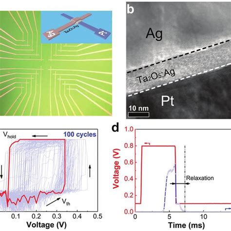 Dropout Neural Network For The Classification Of Mnist Handwritten Download Scientific Diagram