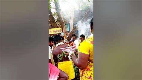 பங்குனி பொங்கல் சட்டி கரும்பு தொட்டில் விருதுநகர் Youtube