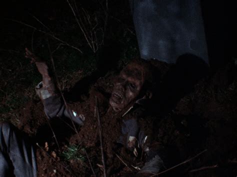 The Curse Of The Screaming Dead Vinegar Syndrome
