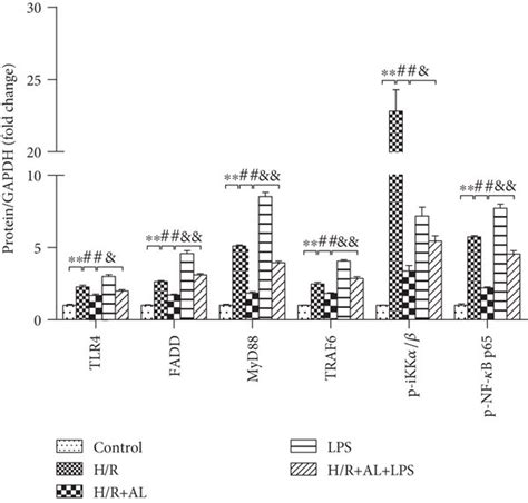 Al Inhibits Apoptosis Of Hepatocytes And Tlr4myd88nf κb Signal