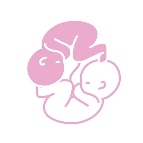 50 Twins Womb Stock Illustrations Royalty Free Vector Graphics And Clip