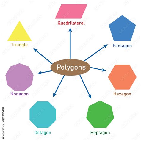 Types Of Regular Polygons Triangle Quadrilateral Pentagon Hexagon Heptagon Octagon