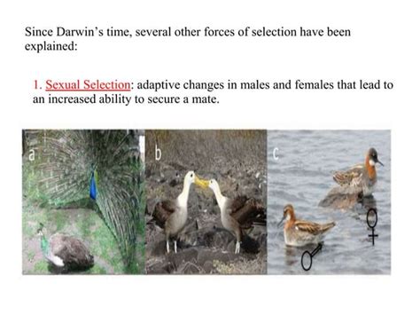 Theory Of Evolution By Natural Selection Pptx Biological Sciences Science