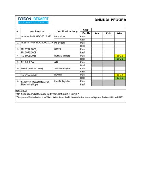 Annual Program Audit Pdf Iso 9000 Wire