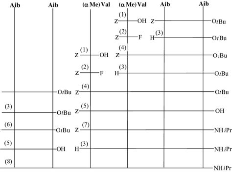 Scheme Of Synthesis For Peptides 24 And 25 Download Scientific Diagram