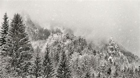 Foggy Winter Wallpapers 4k Hd Foggy Winter Backgrounds On Wallpaperbat