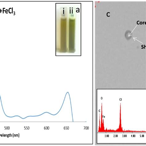 In the inset, the colour of leaf extract of Ocimum sanctum L. (Tulsi ...