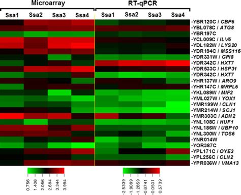Comparative Overview Of Microarray And Rt Qpcr Analysis Twenty Five