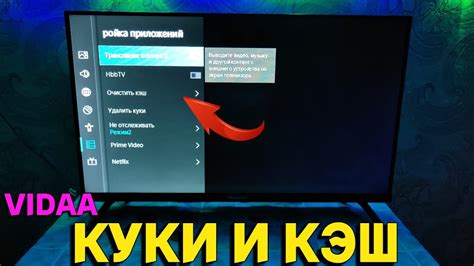 Не запускается приложение в телевизоре Hisense Как очистить куки и кэш в памяти Youtube