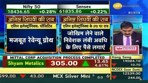 Elin Electronics Ipo Review By Anil Singhvi Subscribe Or Avoid Check