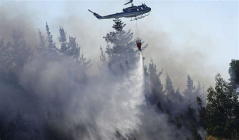 Cinco Incendios Forestales Se Registran En Quilpué Limache San