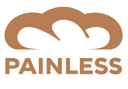 Painless D Painless A Framework For Parallel Sat Solving