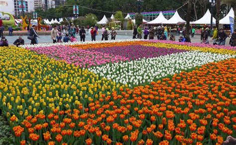 Hong Kong Flower Show To Open Today For The First Time In 4 Years