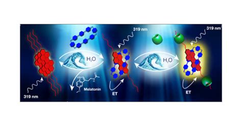 Efficient Hostguest Energy Transfer In Polycationic Cyclophaneperylene Diimide Complexes In