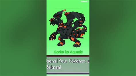 Zekrom Fused With Reshiram Shorts Pokemoninfinitefusion Short Youtube