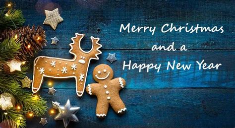 Asepticfilling Decgroup Frederic Dietrich