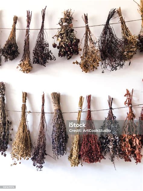 번들에서와 밧줄에 매달아 말린된 나물 허브 화장품 스파 Phytotherapy 대체 의학에서 사용 합니다 혼합