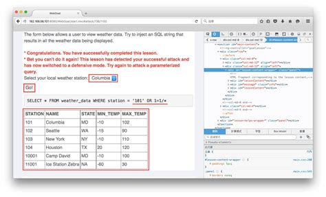 Injection Flaws Numeric SQL Injection