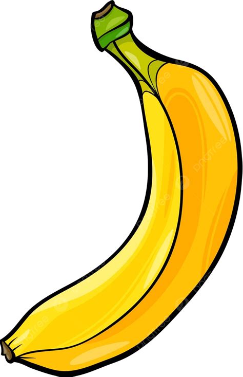 Banana Fruit Cartoon Illustration Fruit Vector Drawin Vrogue Co