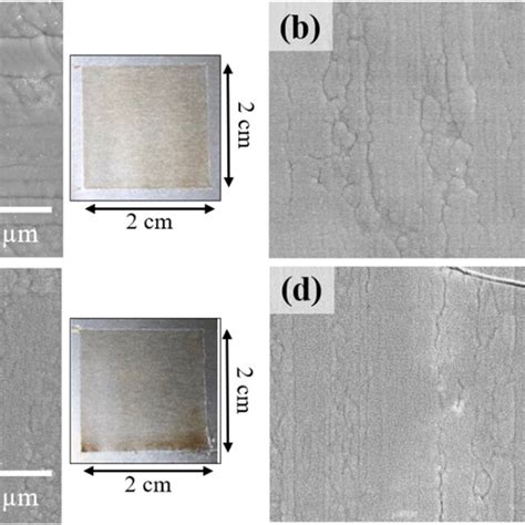 Sem Images And Photographs Of Ternary Alloys Alloys Obtained By