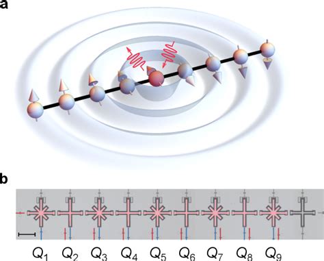 Figure 1 From Observation Of Multiple Steady States With Engineered Dissipation Semantic Scholar
