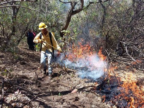 Al 90 Por Ciento De Control Los Incendios Forestales Zona Centro Noticias