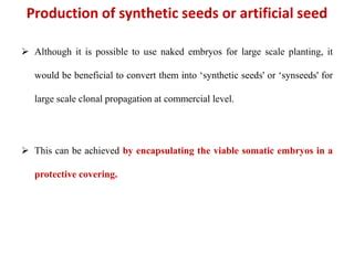Somatic Embryogenesis And Artificial Seed Production Ppt