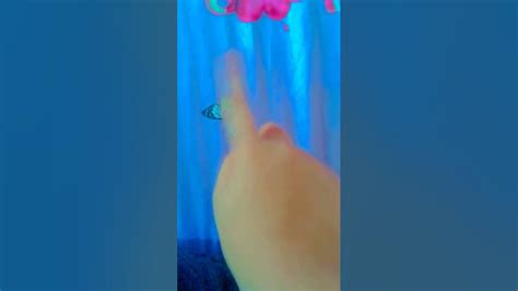 سويت الترند Youtube