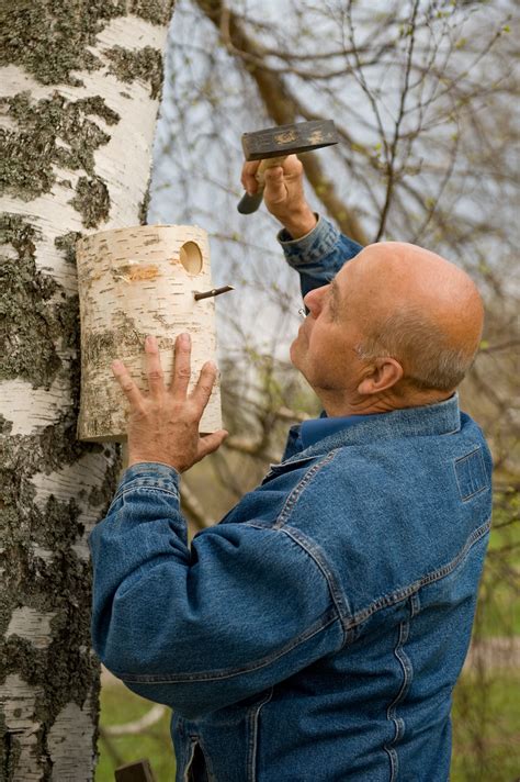 Information Nest Nature