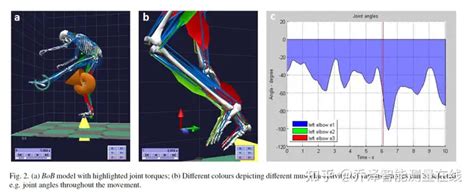 在需要人体运动生物力学数据分析时的软件选择生物器材网