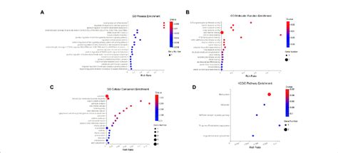 Go And Kegg Pathway0 Enrichment Analysis A The Biological Process Of