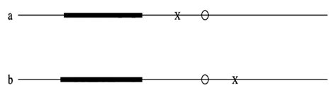 Spectrum Of Eigenvalues Of Matrix A For A γ1 λ