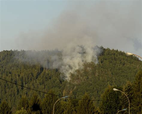 Faits Divers Vosges Feu De Forêt Difficile Daccès à Dommartin Lès