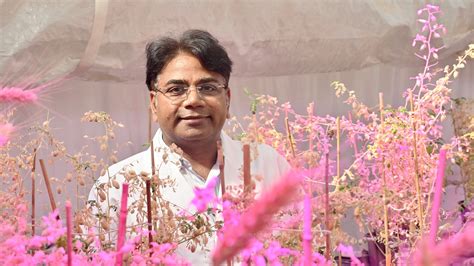 genetics and ai approaches to power up pulses mirage news