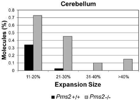 Absence Of Pms Results In Larger Expansions Of The GAA TTC N Download Scientific Diagram