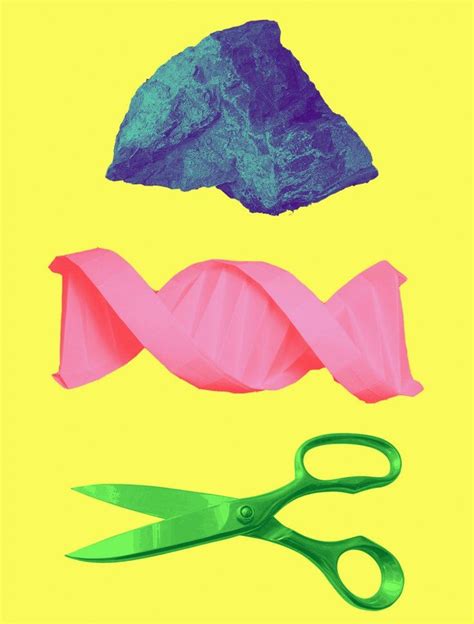 New Yorks Mass Face Recognition Trial On Drivers Has Been A