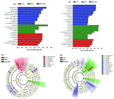 Lefse Analysis Of Microbiota In Colon Content Linear Discriminant