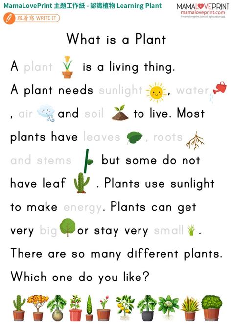 Mamaloveprint Science Worksheets Learning Plant Worksheets 認識植物工作紙