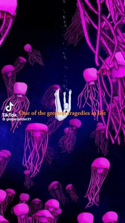 Kiran Nirvan Posted On Linkedin