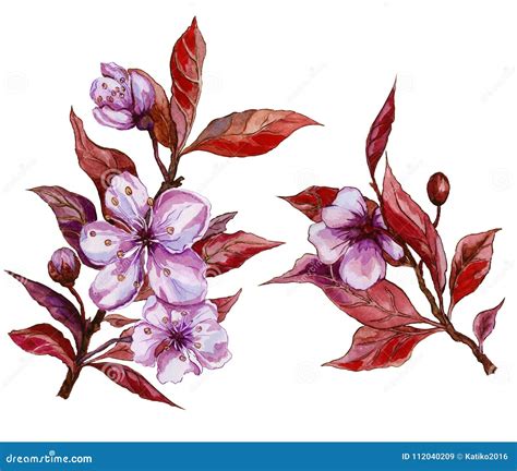 在枝杈的美丽的果树花 花卉套在桃红色和红颜色的两根枝杈 春天华丽例证 库存例证 插画 包括有 申请人 收集 112040209