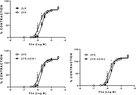 Concentration‐response Curves To Phenylephrine Phe In Mesenteric