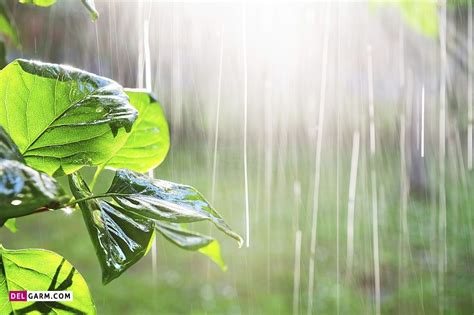 40 عکس آرامش بخش هوای بارانی با کیفیت بالا