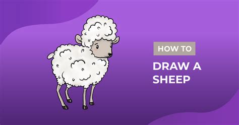 How To Draw A Sheep Step By Step