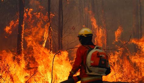 Incendios Forestales En Bolivia Obligan La Cancelación De Vuelos Y Clases