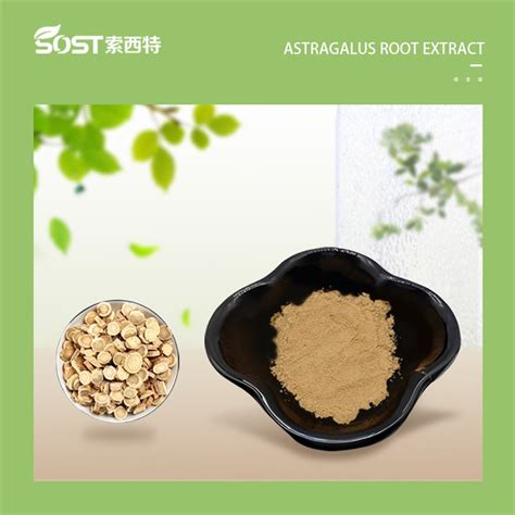 Organic Astragalus Root Extract China Organic Astragalus Root Extract