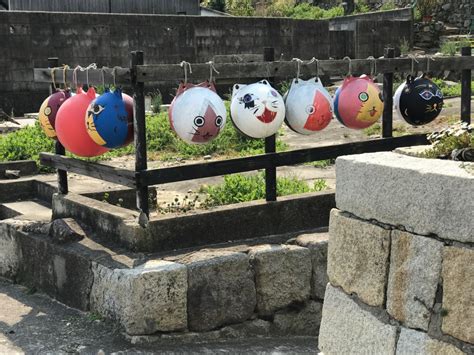 ねこ島を「佐柳島」に決定、餌「煮干しまぐろ」と「 猫じゃらし」と 自分用飲食物 の準備 空飛ぶおばさん旅日記・壱