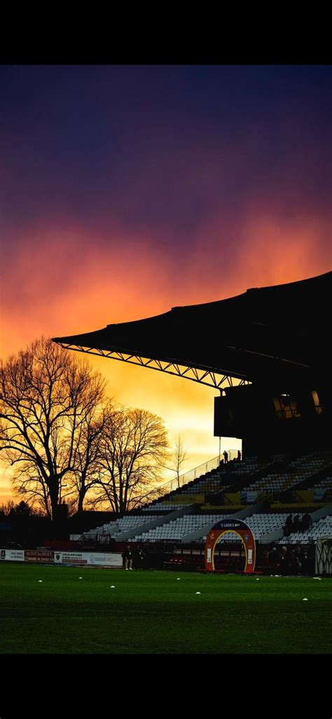 🏟🌇 Natural Grass Ng